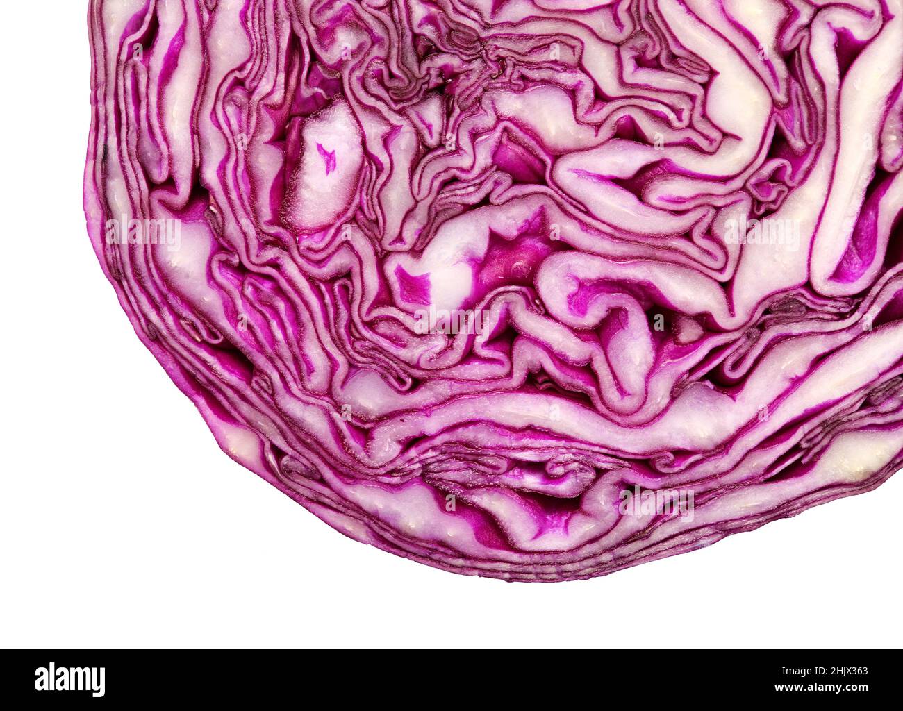 Cut though the middle of a red cabbage head, beautiful dark purple and ...