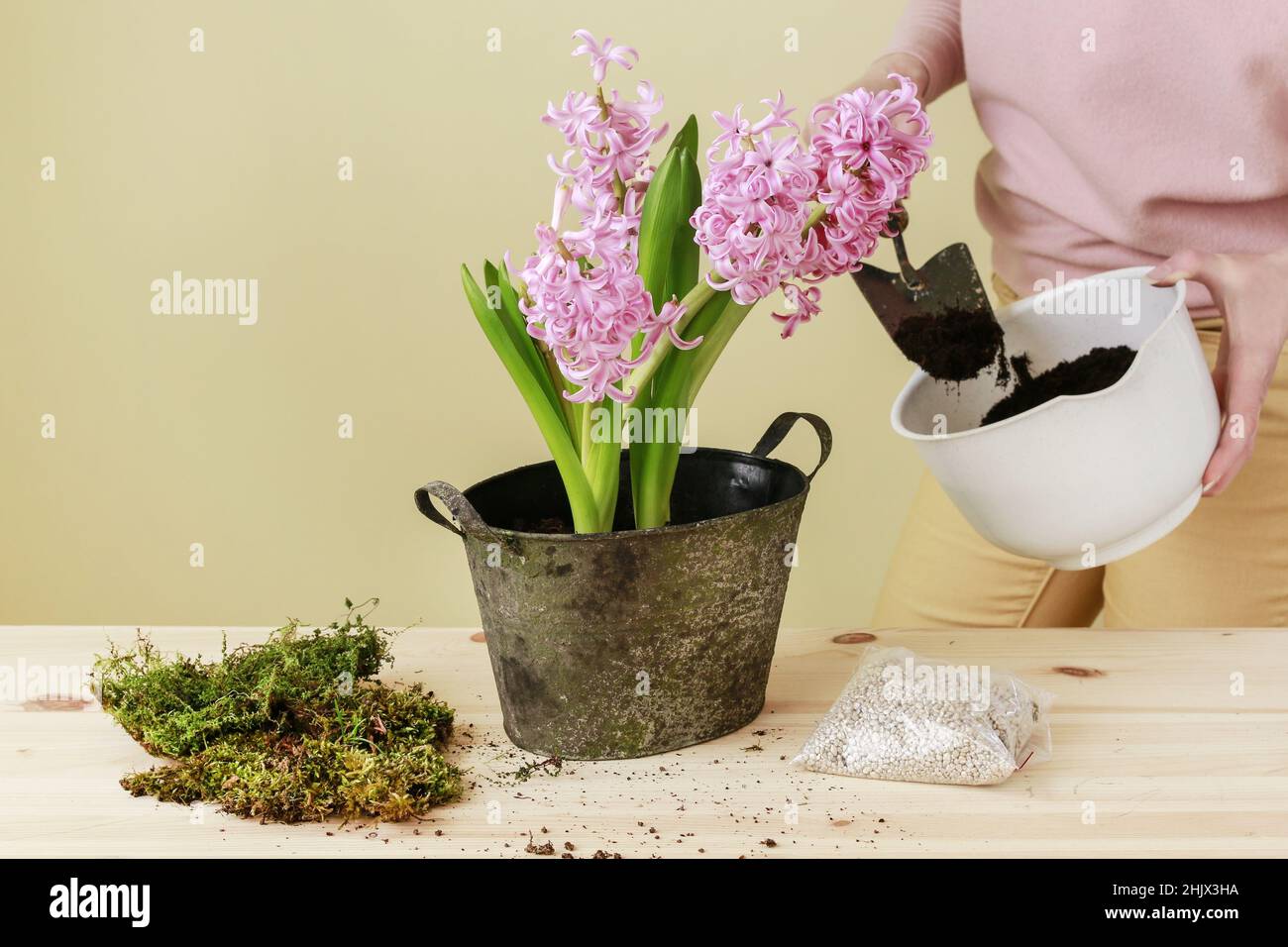 Florist at work: How to make table decoration with pink hyacinth ...