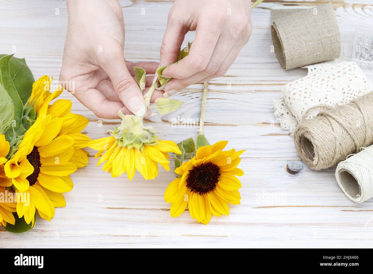 Florist at work: Woman shows how to make bouquet with sunflowers. Step ...