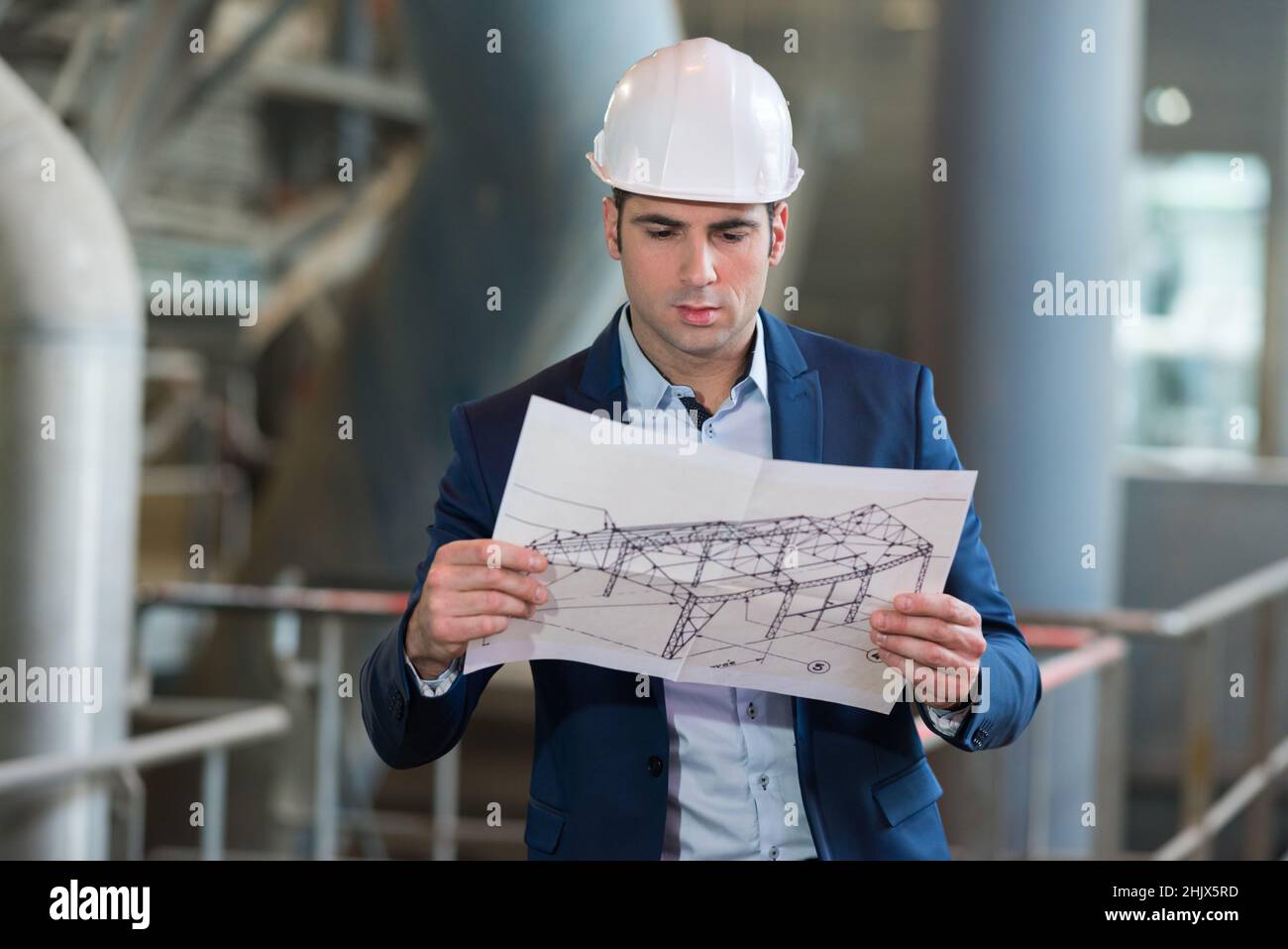 portrait of boss controls the plans Stock Photo - Alamy
