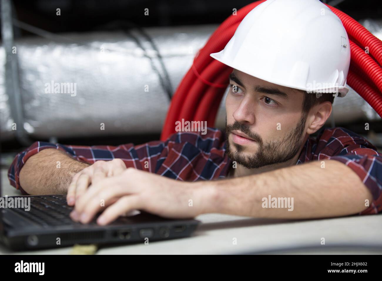 contractor using laptop in roofspace Stock Photo - Alamy