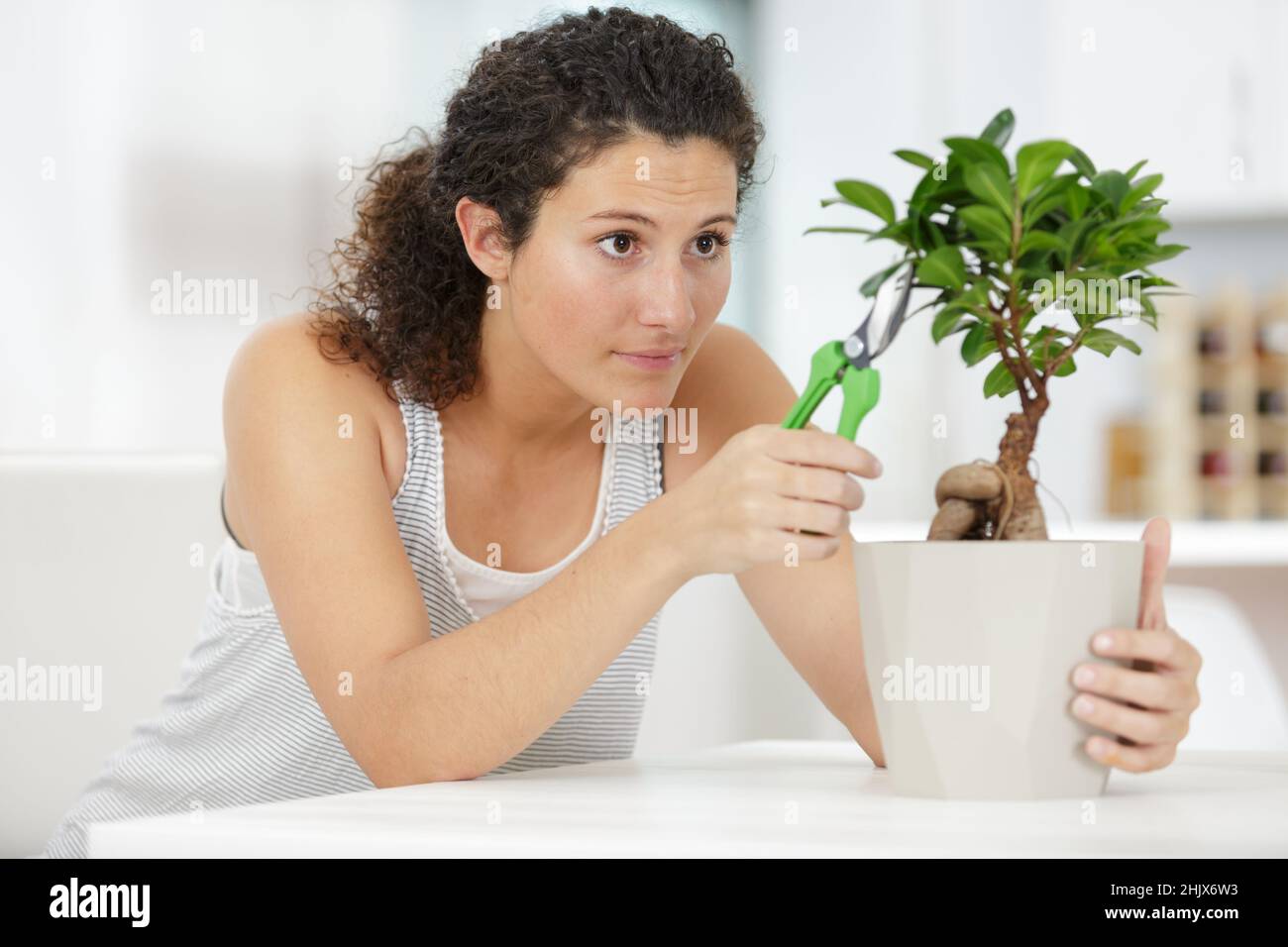 pretty smiling young woman cutting and pruning a bonsa Stock Photo - Alamy
