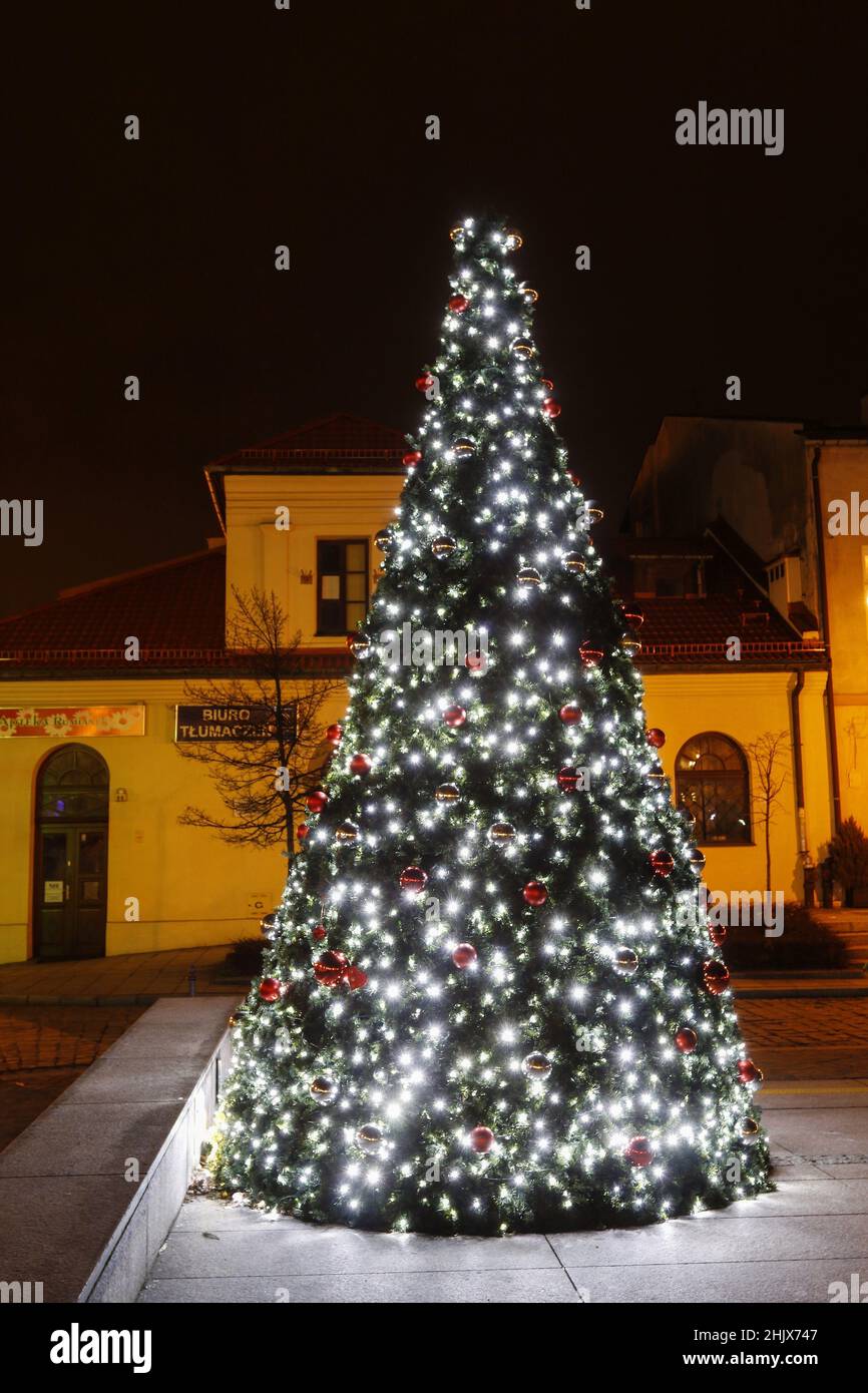 Traditional big christmas tree beautifully iluminated with colorful ...