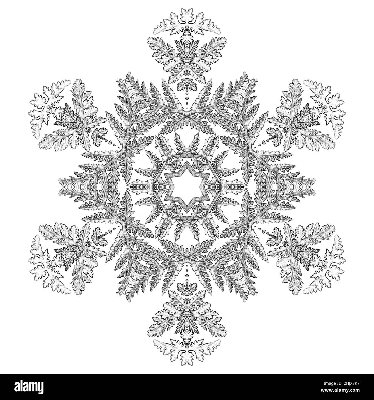 Kaleidoscope repeating pattern with rotational symmetry, snowflake made ...