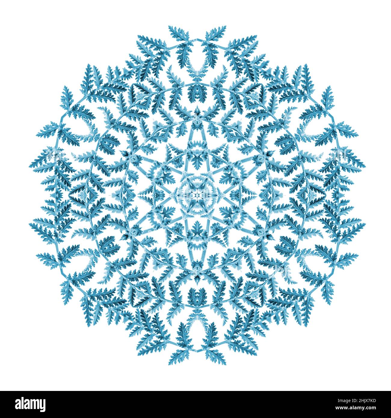 Kaleidoscope repeating pattern with rotational symmetry, snowflake made ...