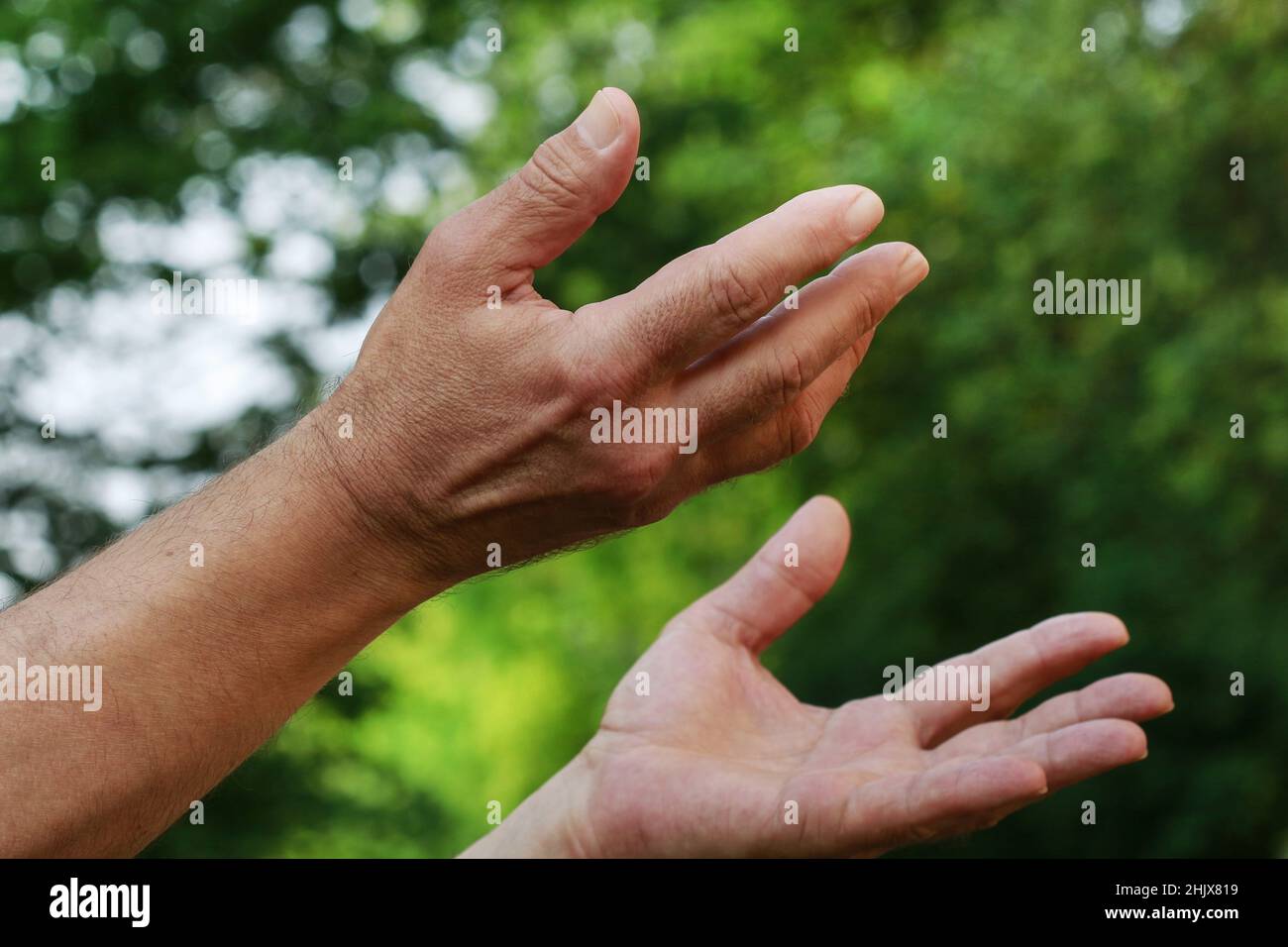 Gesture of begging hands on green background. Idea of help Stock Photo ...