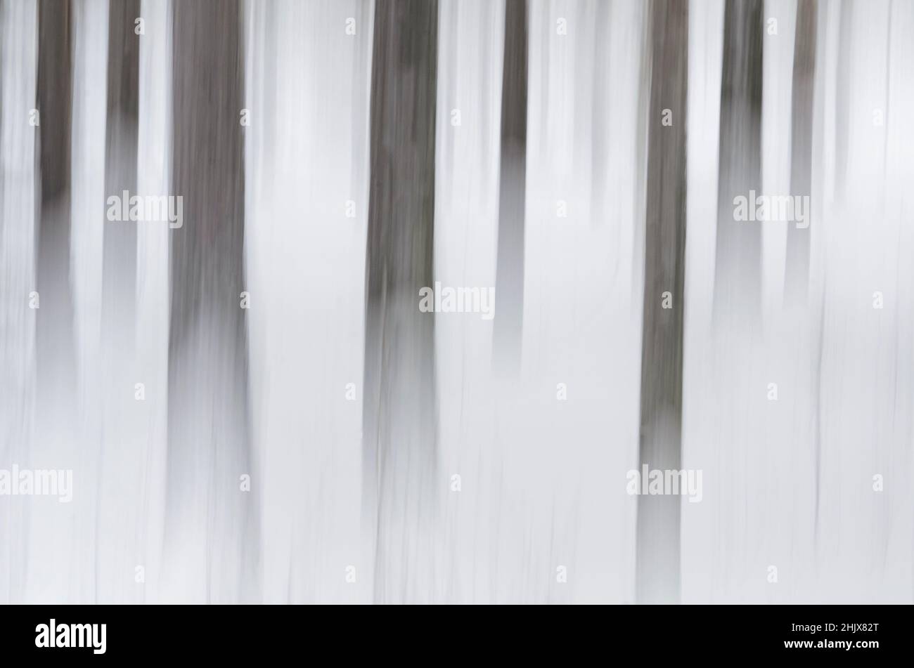 Intentional camera movement tree hi-res stock photography and images ...