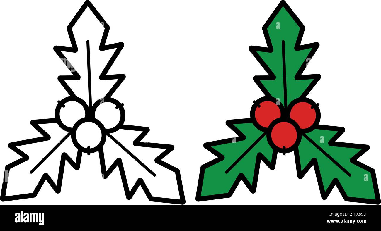 Holly plant berry Stock Vector Images - Alamy