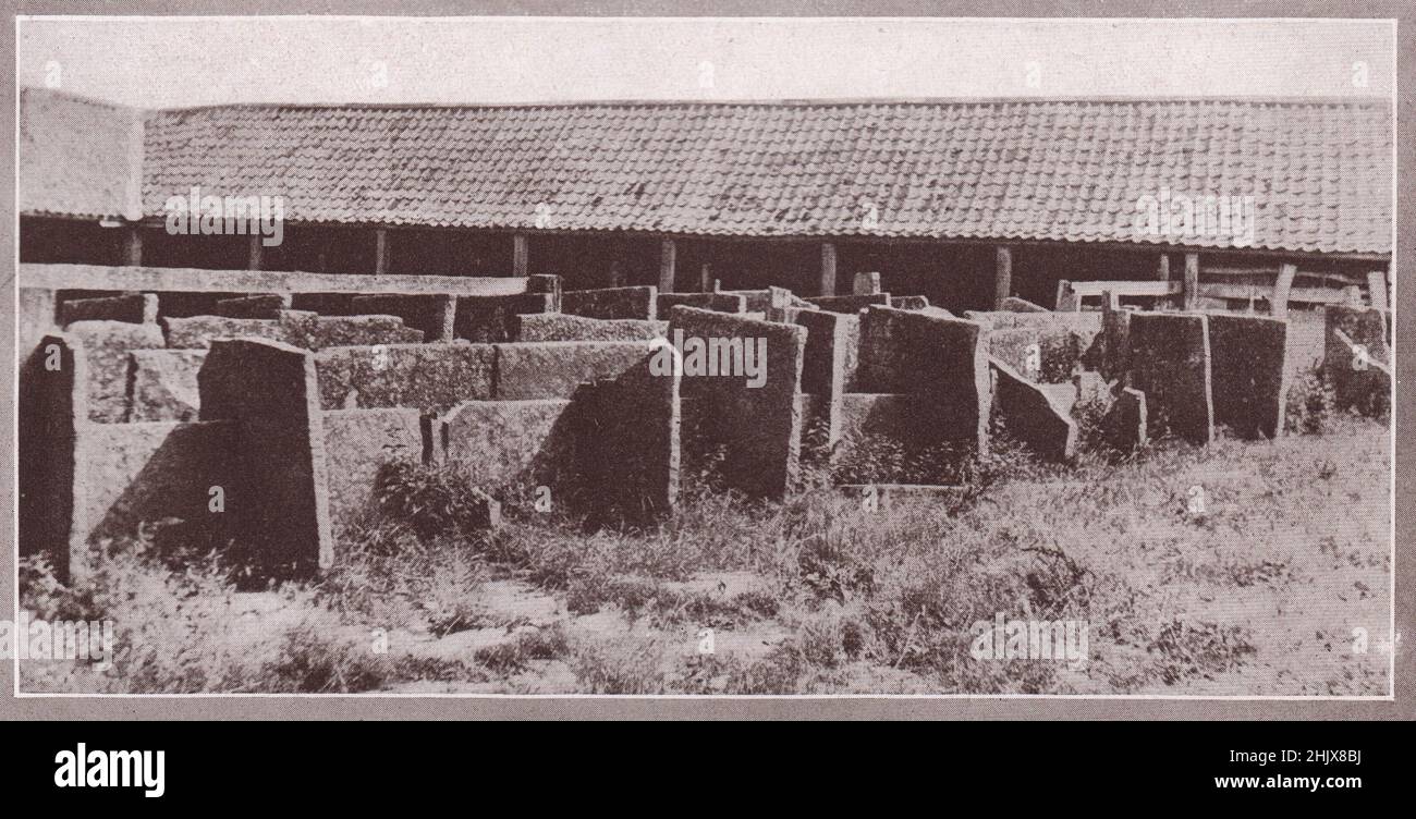 Stone cattle stalls, Manor Farm, Ilchester. Somersetshire (1923 Stock ...