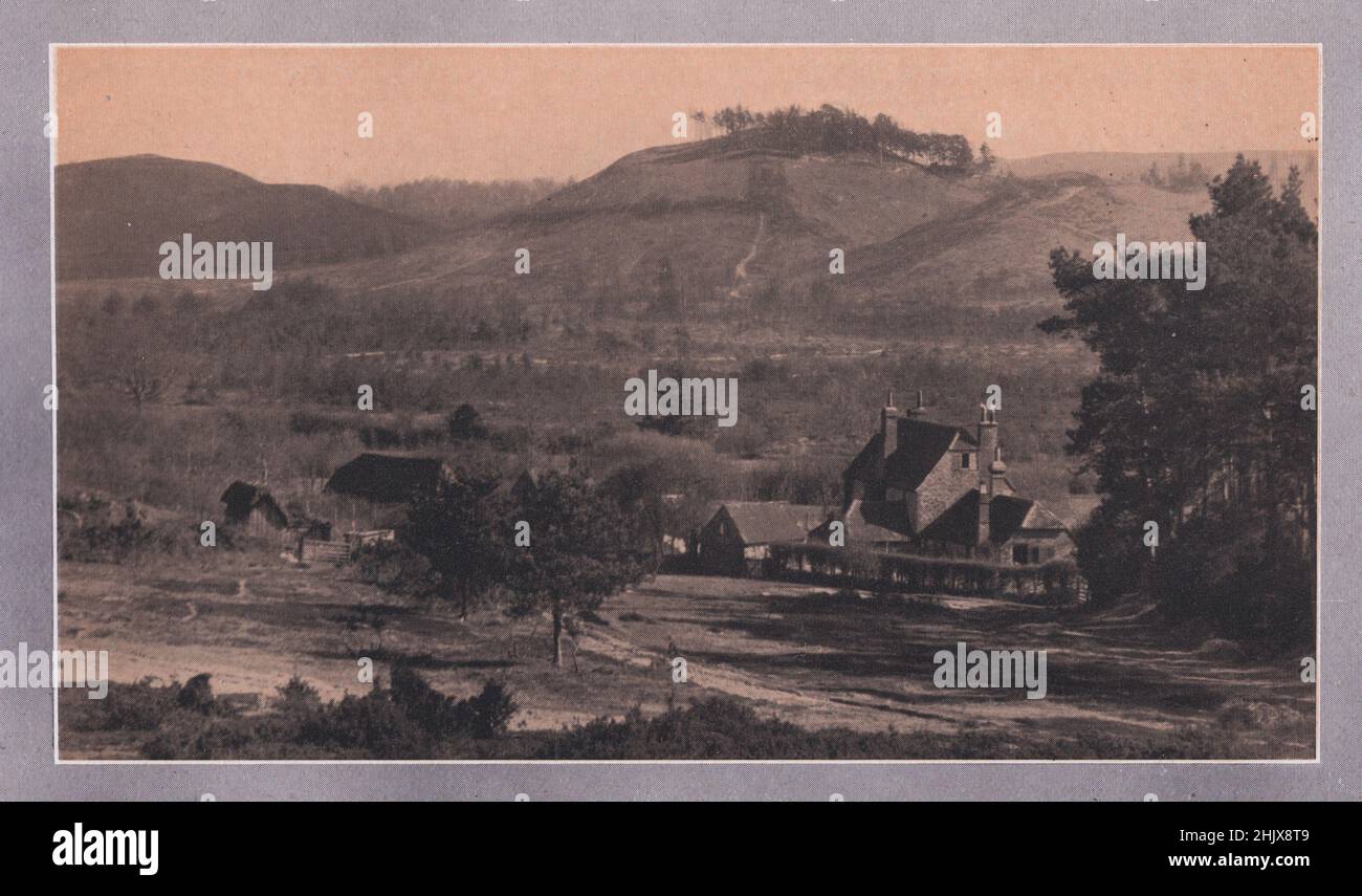 The Devil's Jumps, near Hindhead. Surrey (1923 Stock Photo - Alamy
