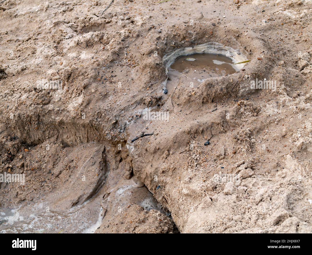 sandy river bank on a clear day, in summer Stock Photo - Alamy