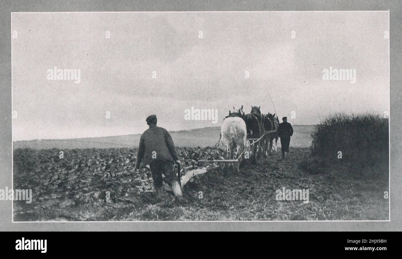 Farm 20th century hi-res stock photography and images - Alamy