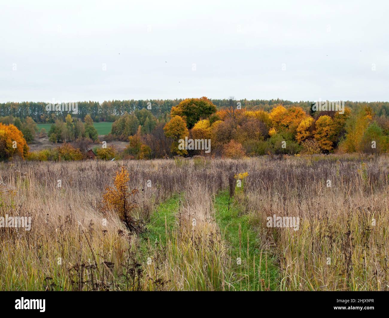 landscape on a cloudy autumn day, central Russia Stock Photo - Alamy