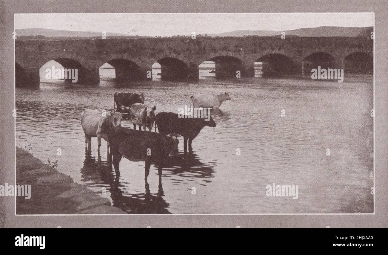 The bridge, Arklow . County Wicklow (1923 Stock Photo - Alamy