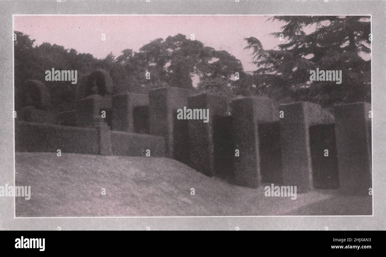 Tench illustration hi-res stock photography and images - Alamy