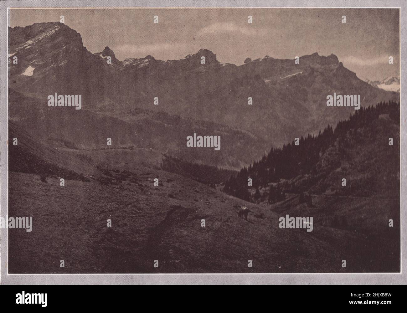 A Glimpse of the Vaudois Alps. Switzerland (1925 Stock Photo - Alamy