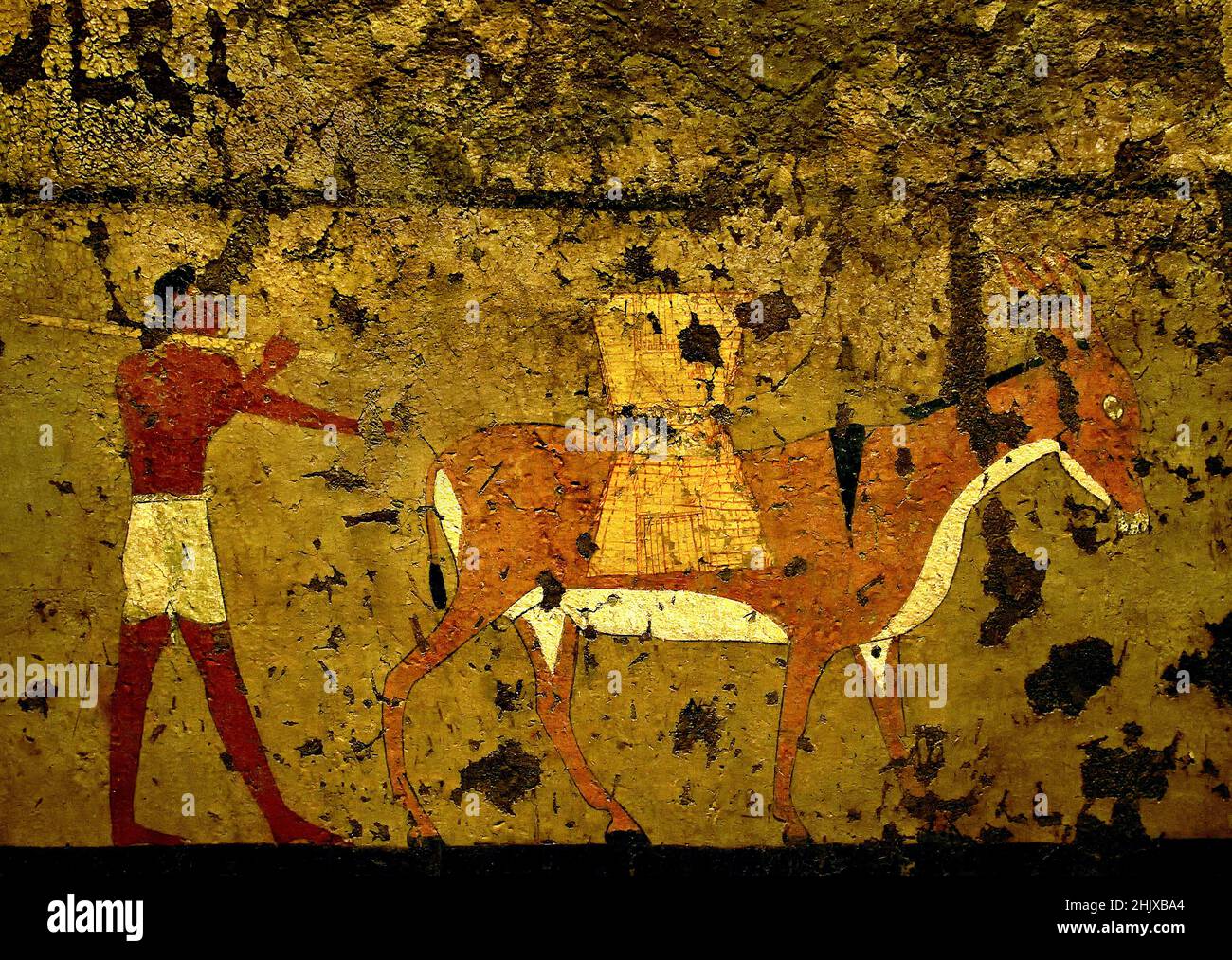 Iti neferu hi-res stock photography and images - Alamy