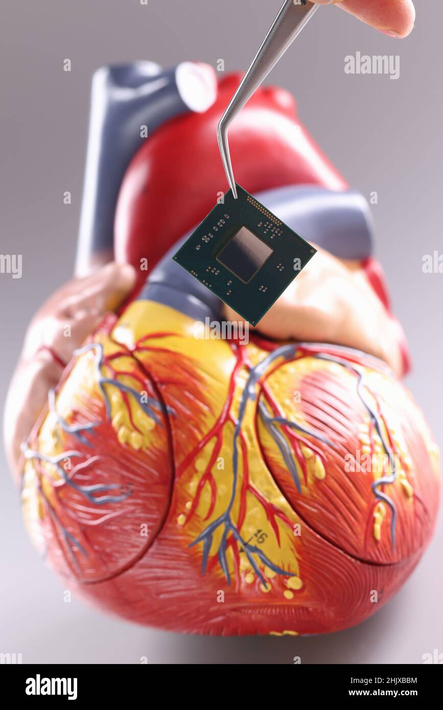 Hand inserting microchip into artificial heart mockup using tweezers ...