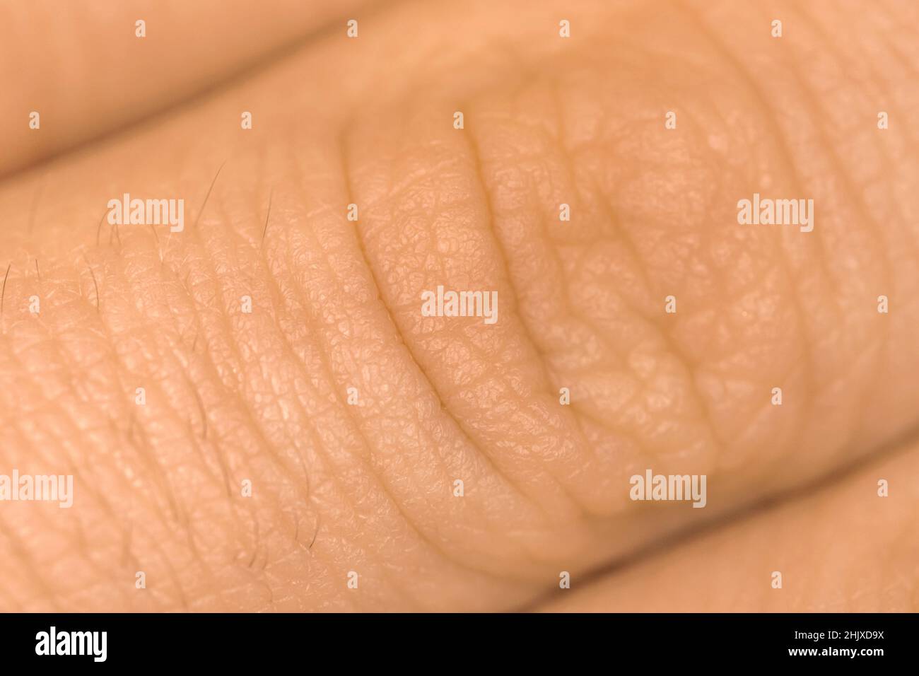 Human fingers skin texture. Detail healthy skin background. Young ...