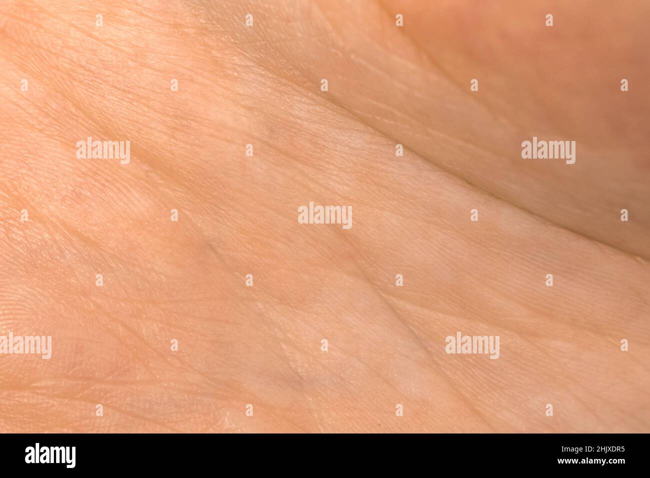 Human palm skin texture. Detail healthy pink skin background. Young ...