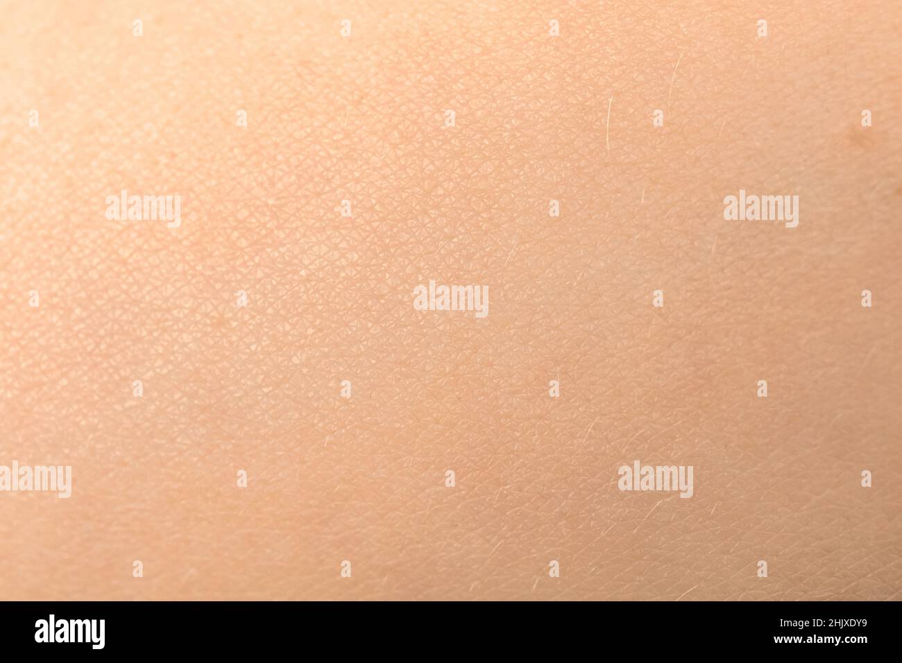 Human skin texture. Detail healthy pink skin background. Young girl ...