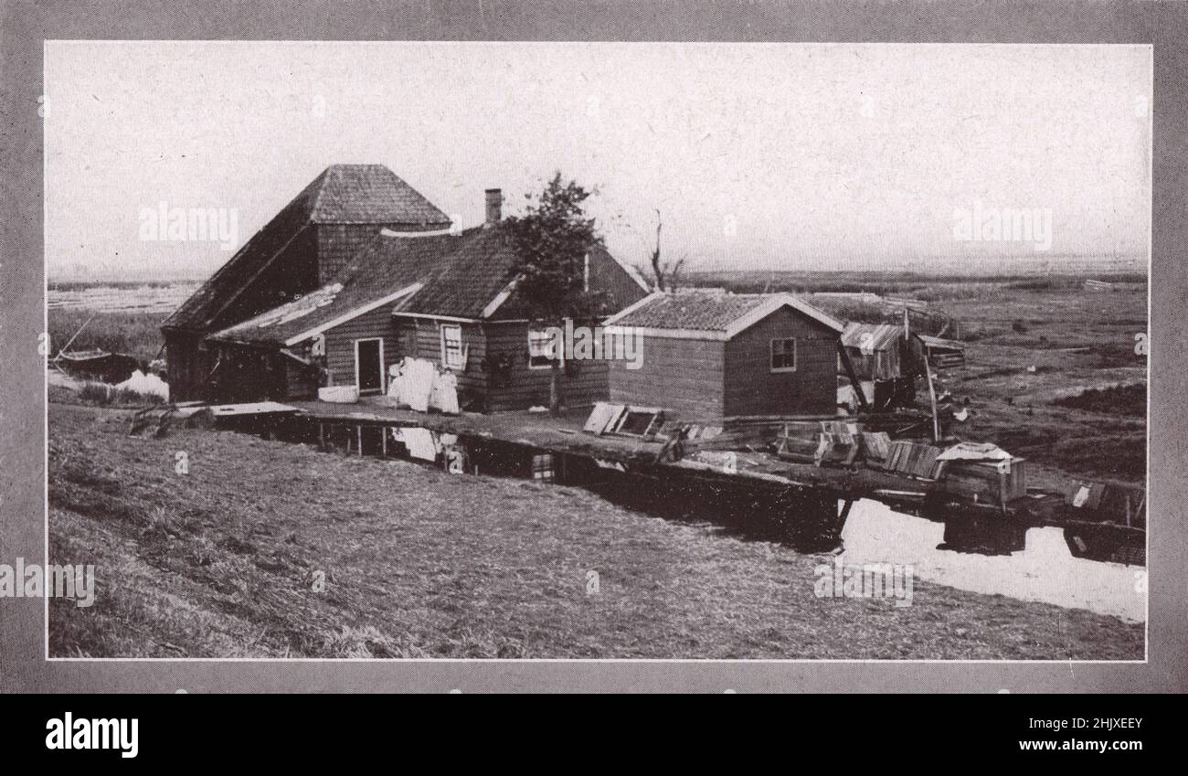 Netherlands farm hi-res stock photography and images - Alamy