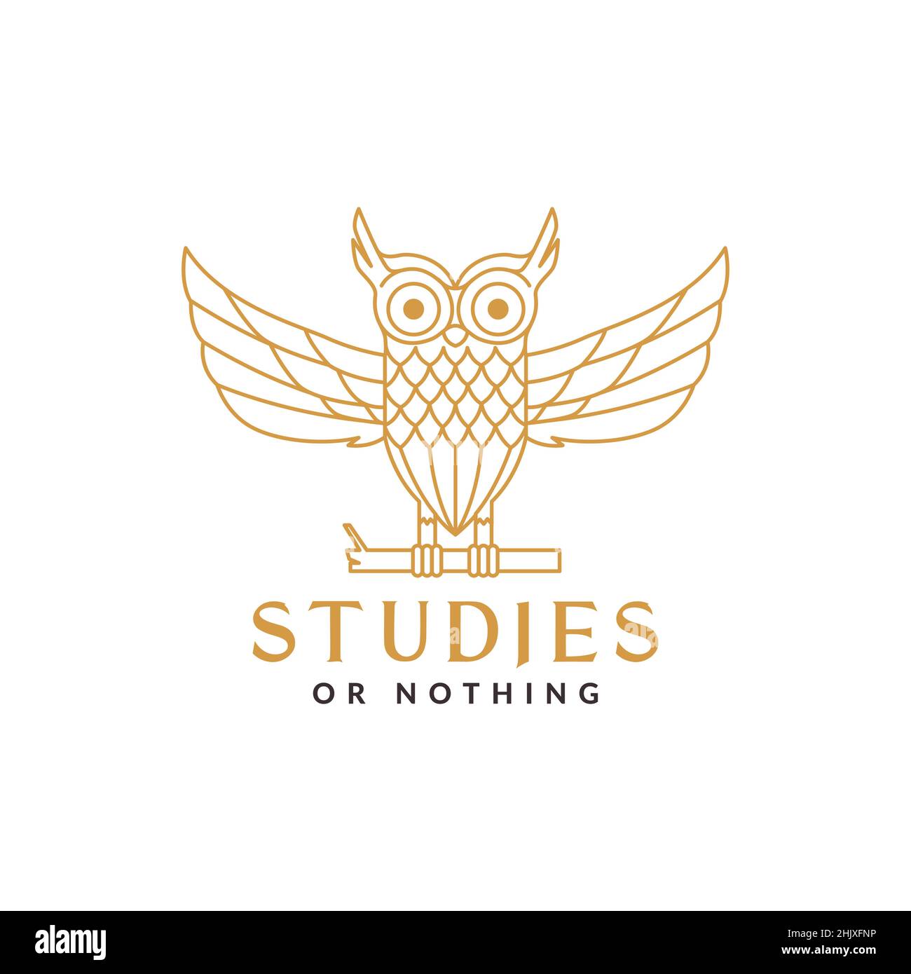 Owl Graphic Design Logo