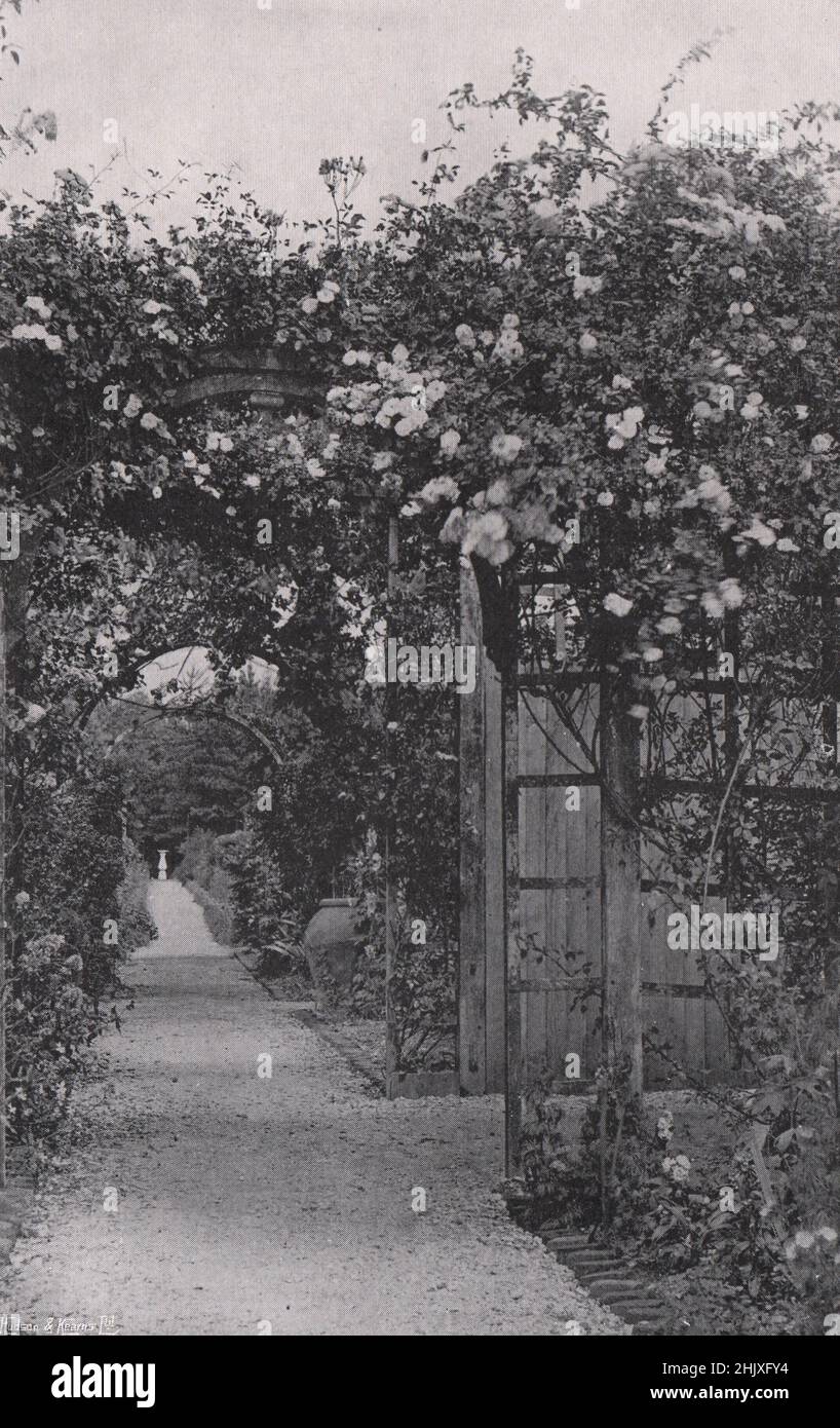 The long walk. Hampshire. Rosebank, Silchester Common. - Designed by Mr ...