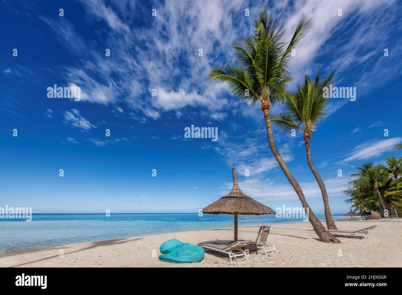 Coco palm trees on Paradise beach in tropical resort Stock Photo - Alamy