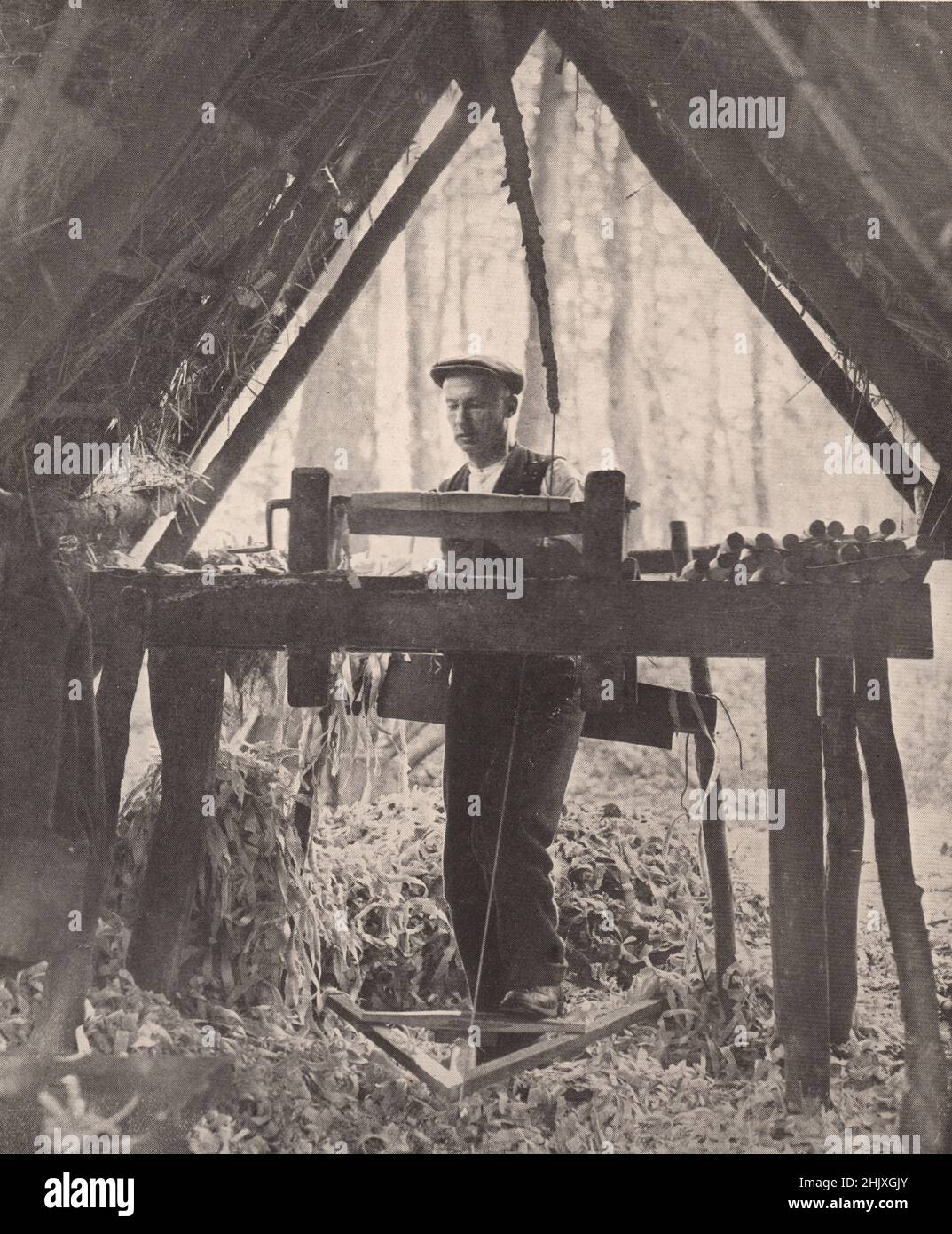 Buckinghamshire a hi-res stock photography and images - Alamy