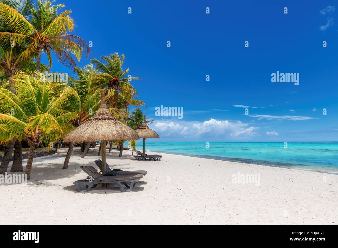 Coco palm trees on Paradise beach in tropical resort Stock Photo - Alamy