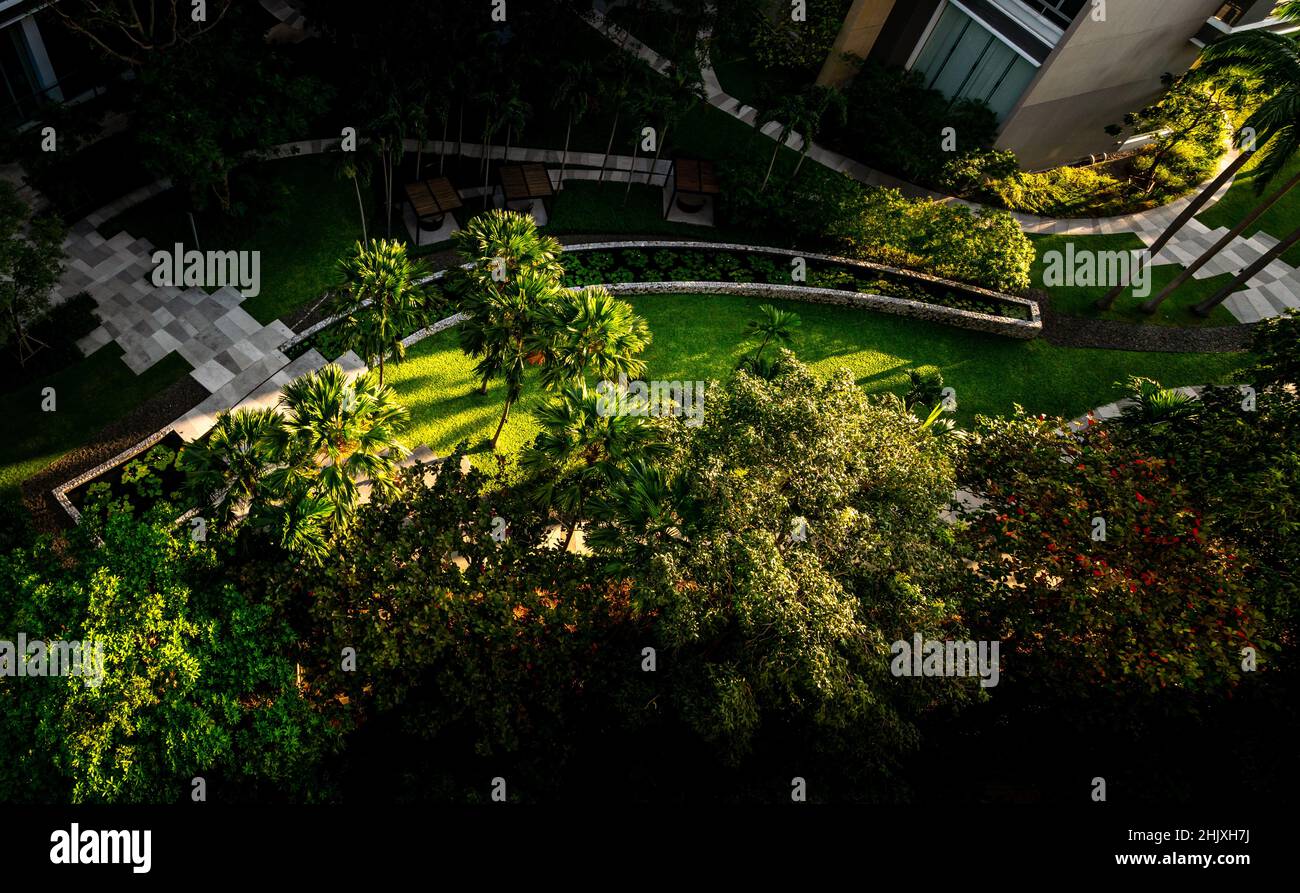 Beautiful aerial view of a tropical garden between high rise buildings ...