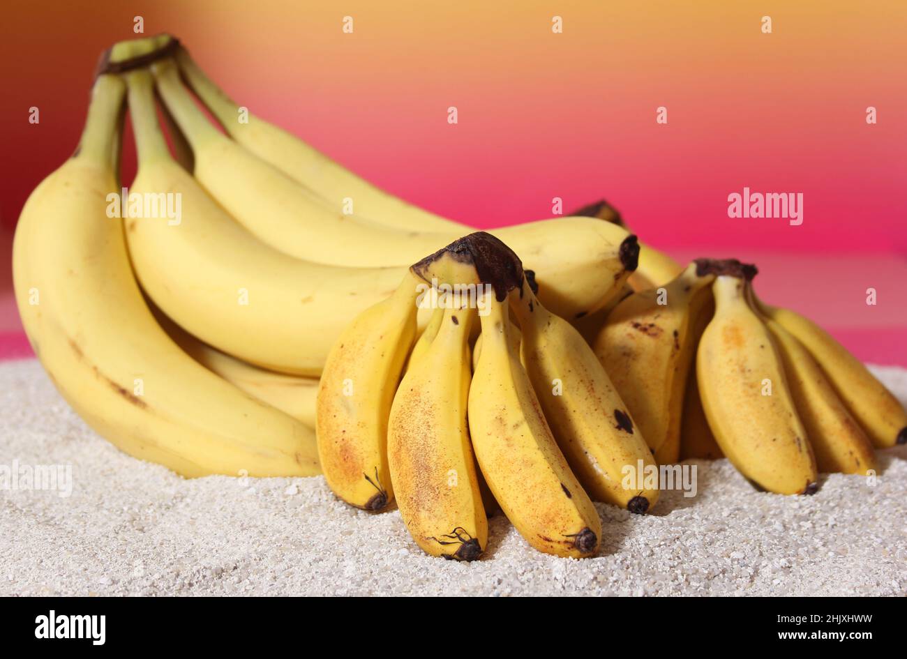 Bunches of Bananas on Beach with Sunset, Regular Bananas and Miniature ...