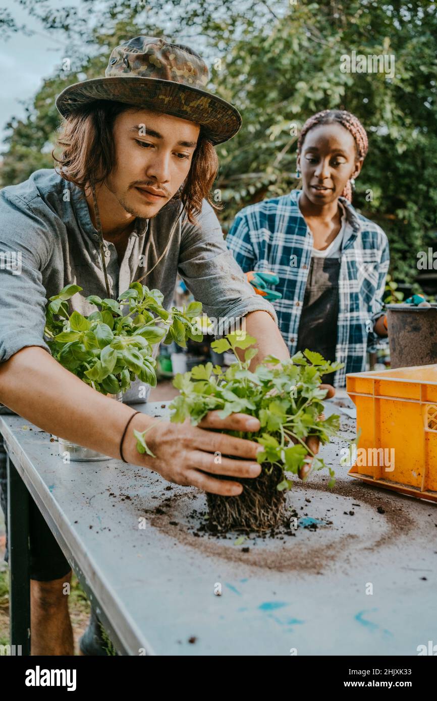 American environmentalist hi-res stock photography and images - Alamy