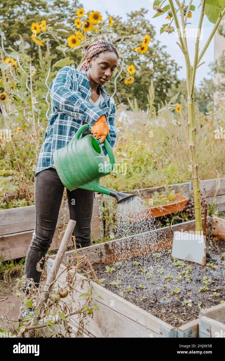 African women watering plants hi-res stock photography and images - Alamy
