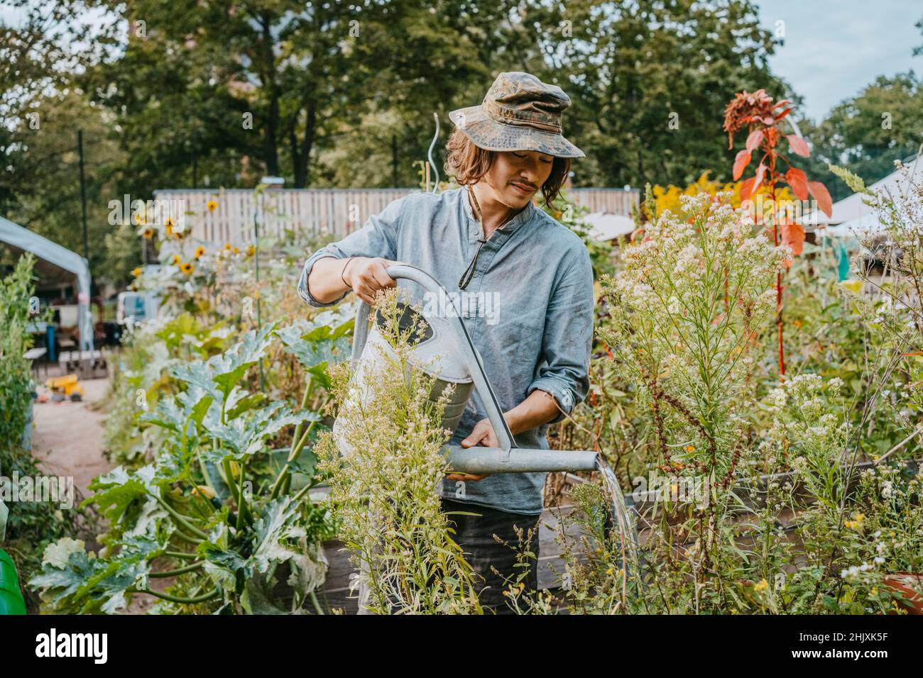 Man in garden watering plants hi-res stock photography and images - Alamy