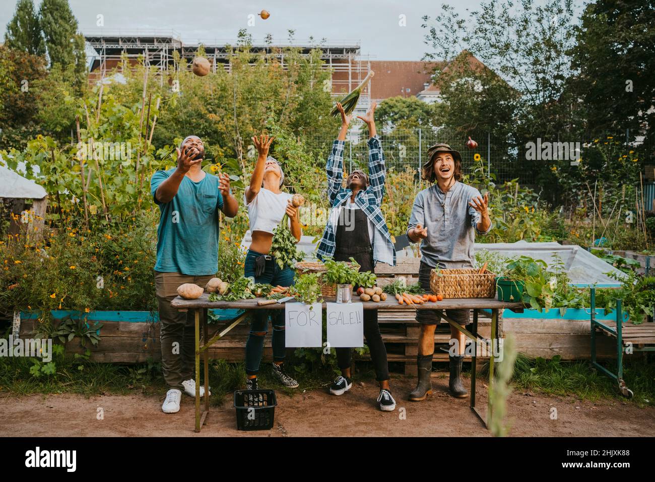 Cheerful male and female environmentalists throwing vegetables in ...