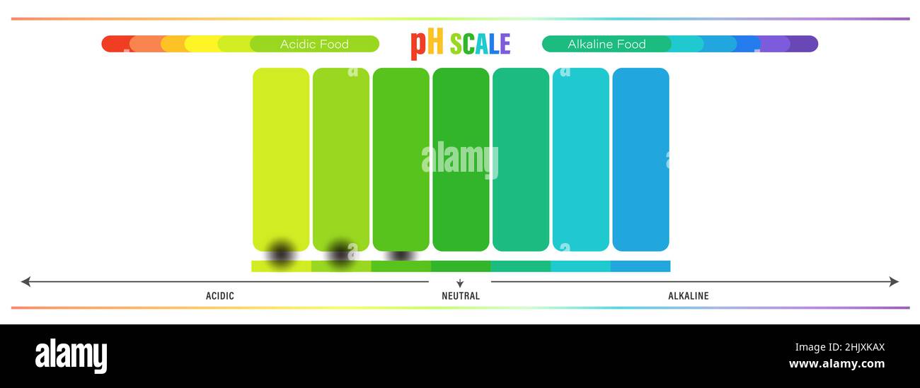 PH scale chart, acid balance of nutrition measure meter and food ...