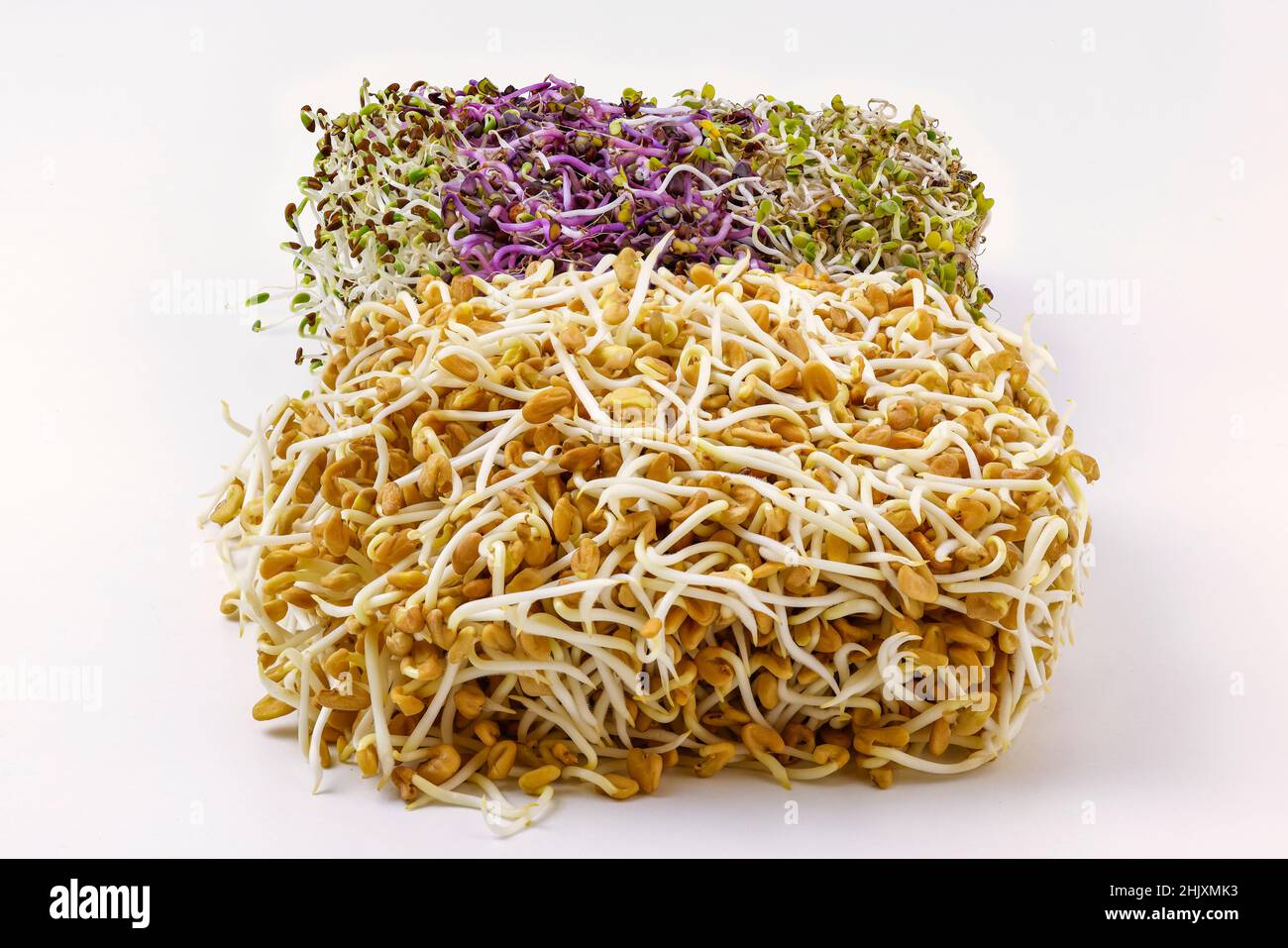 image with germ mix on white background Stock Photo - Alamy