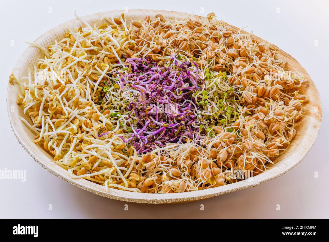 image with germ mix on white background Stock Photo - Alamy