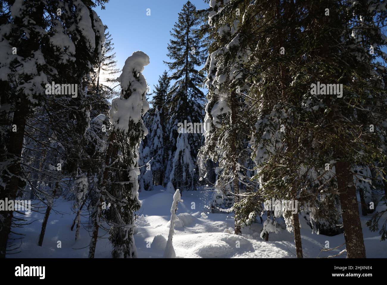 Winter landscape in Val Saisera, Italy Stock Photo - Alamy