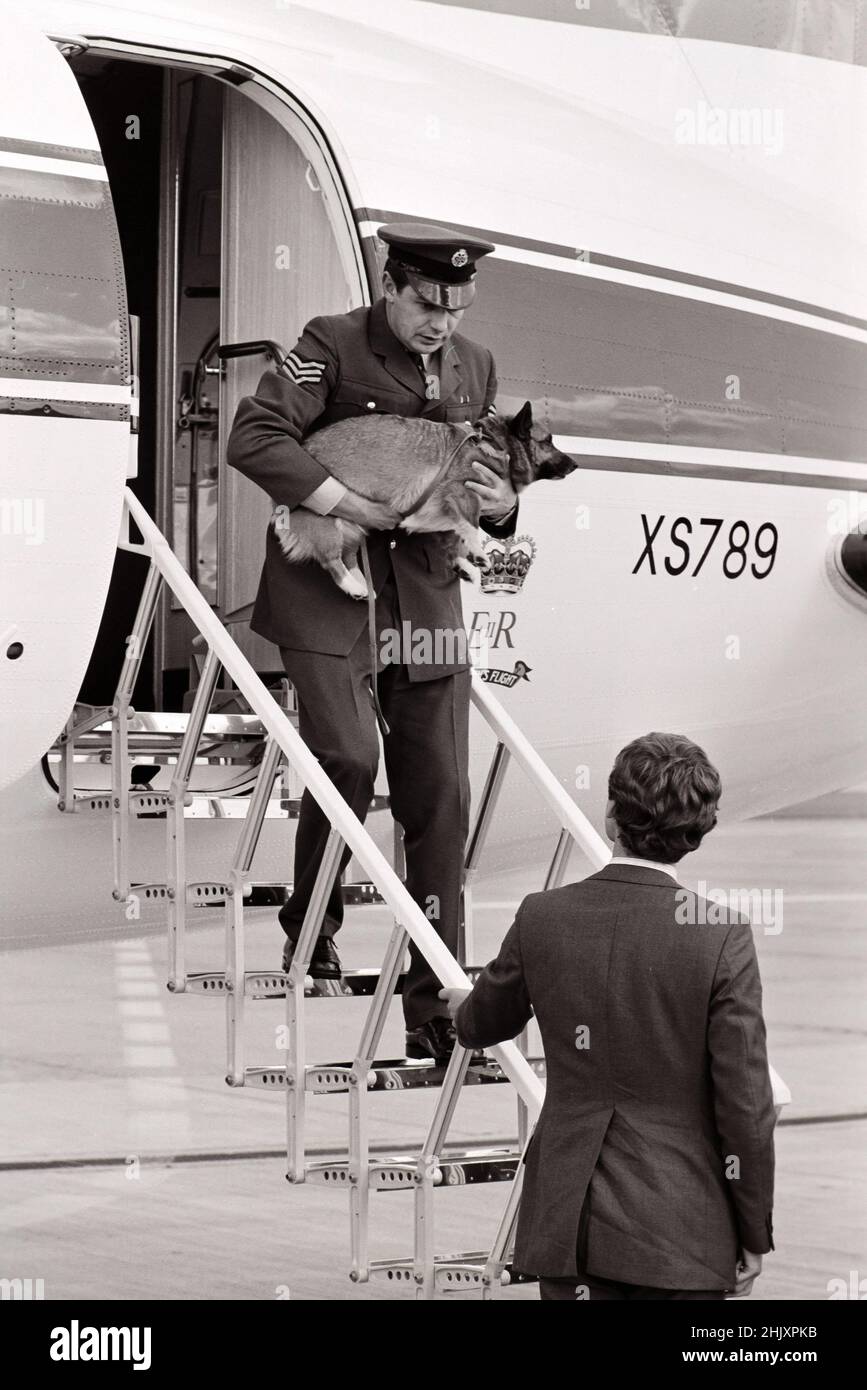 Queen's Aid carrying Corgis arriving at Heathrow Airport in her Royal ...
