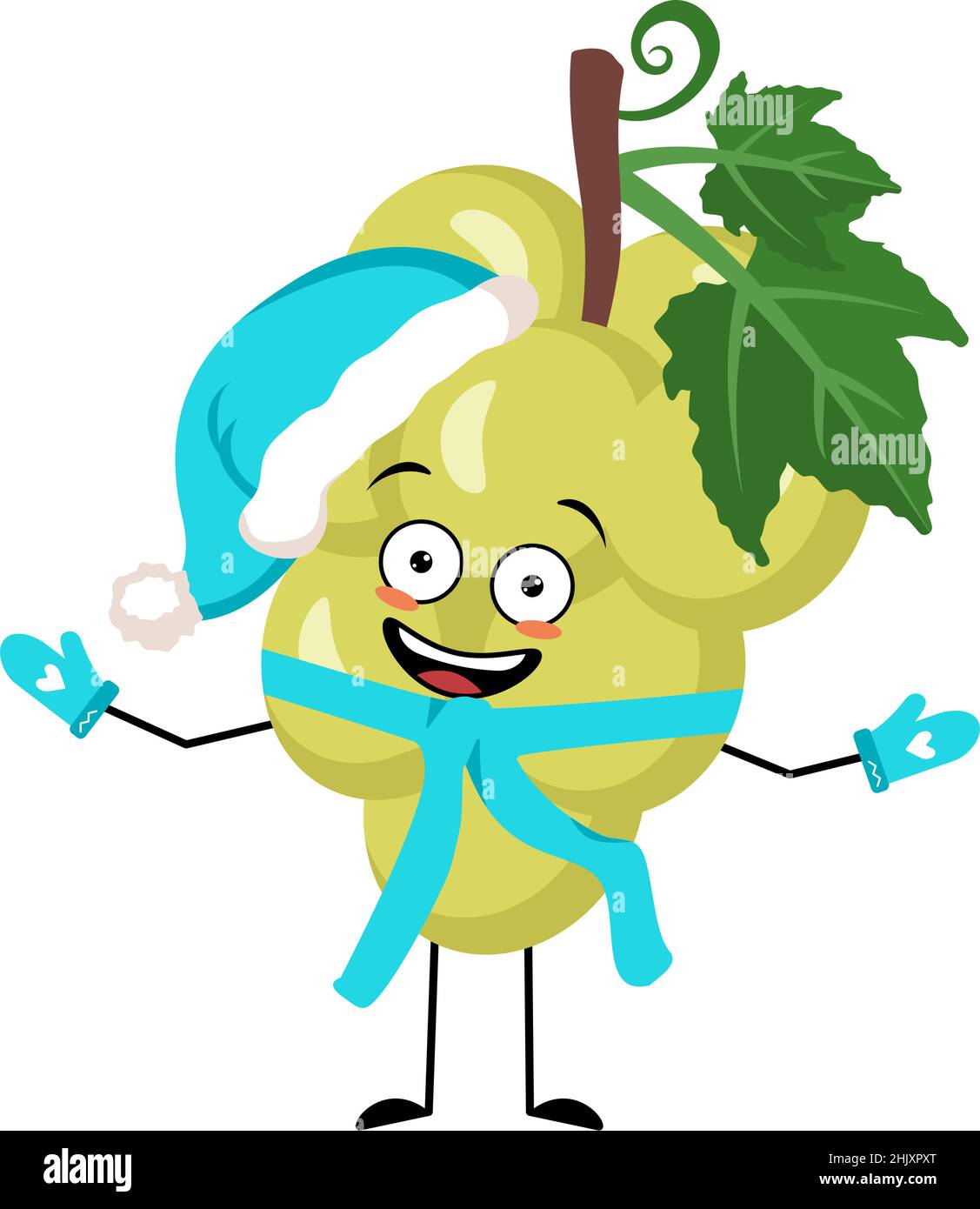 Grape character with happy emotion in Santa hat, joyful face, smile ...