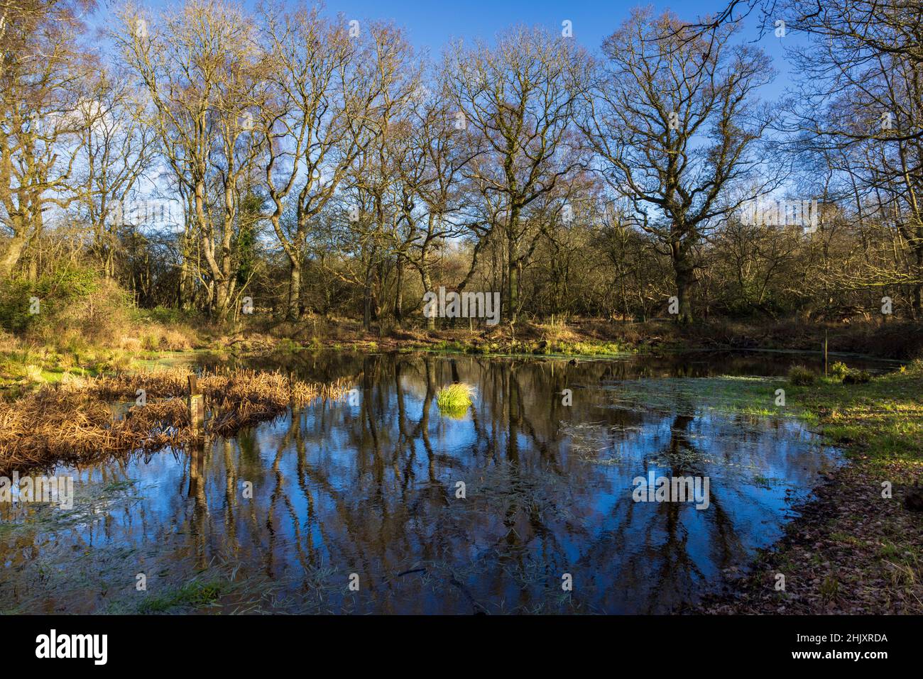 Pingo pond hi-res stock photography and images - Alamy