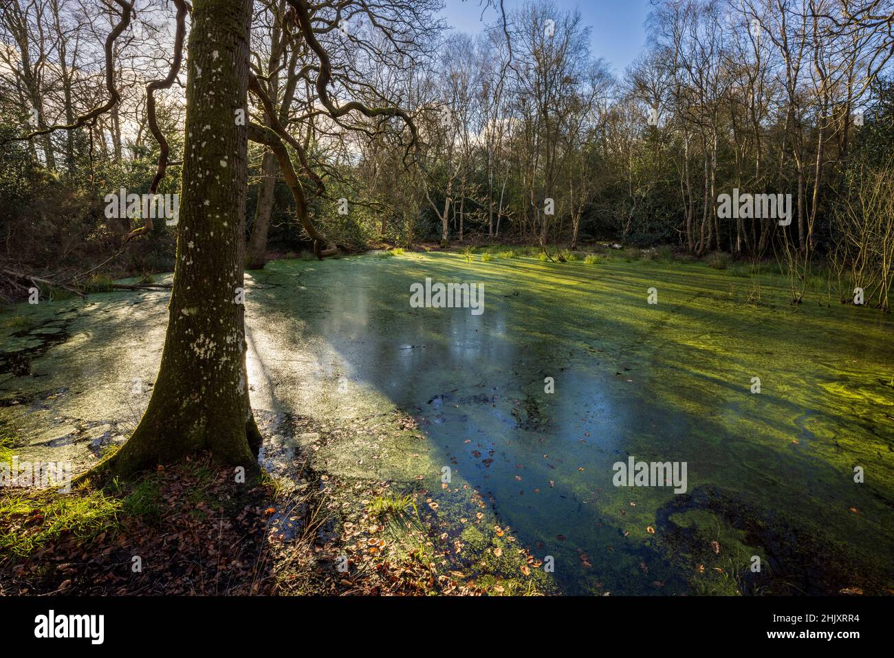 Ice age trail hi-res stock photography and images - Alamy