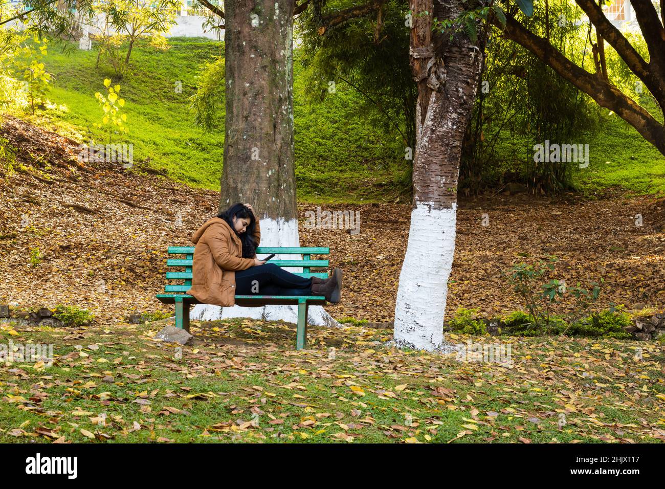 isolated girl sitting on bench using mobile phone alone at park at ...
