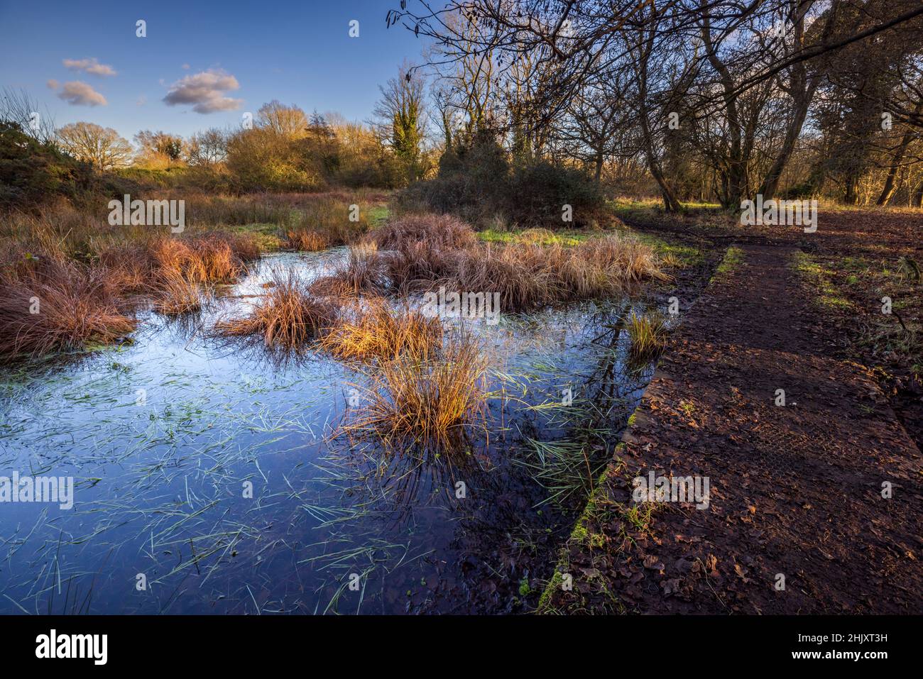 A boardwalk over a Pingo pool on the Pingo Trail in winter, The Brecks ...