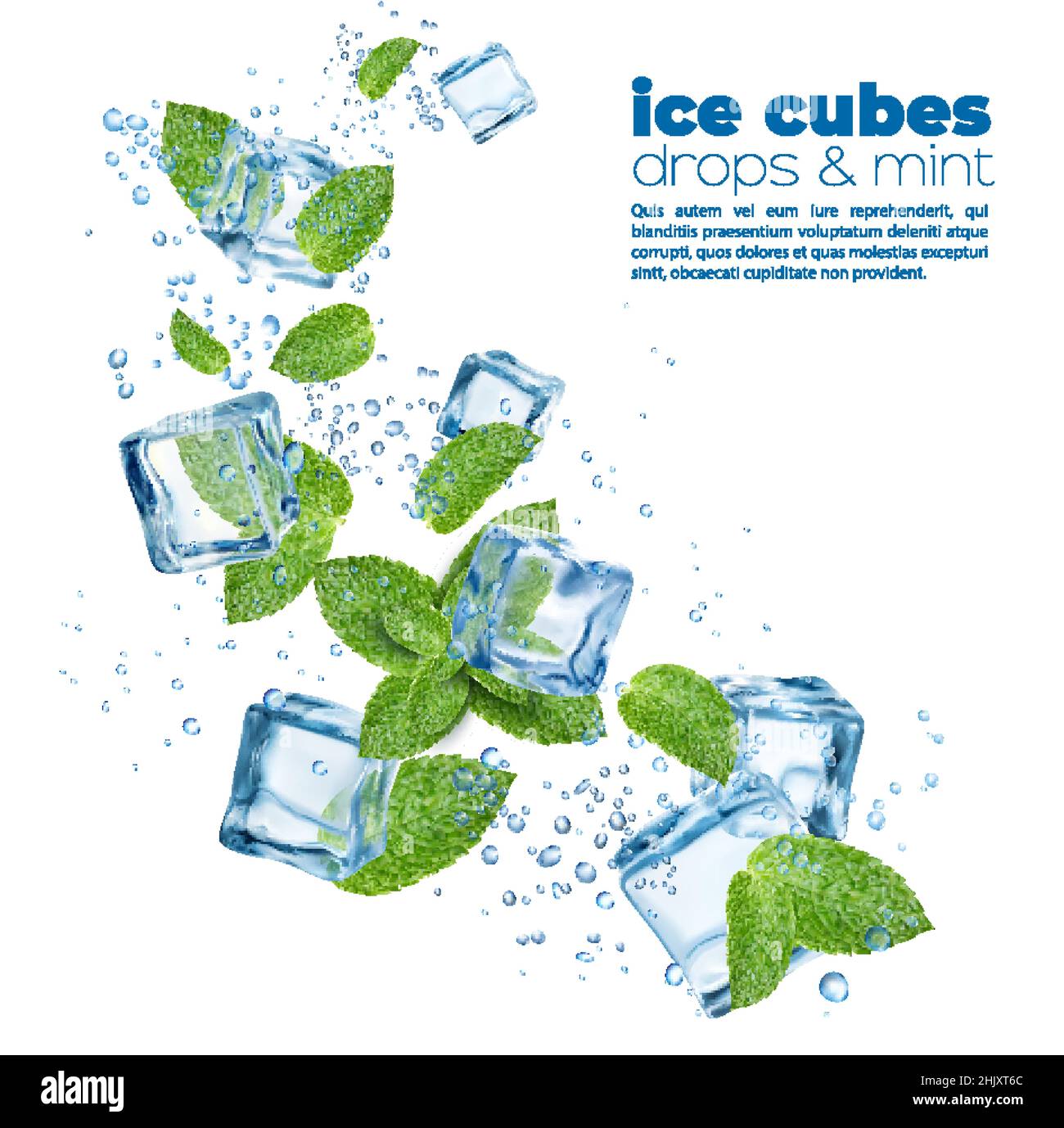 Leaves water bubbles bubble Stock Vector Images - Alamy