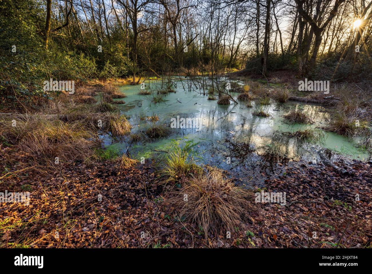 Ice age trail hi-res stock photography and images - Alamy