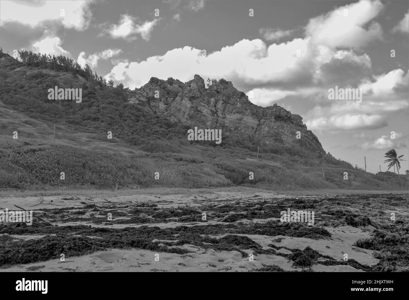Scenic view of rocky mountains covered with grass and plants in ...